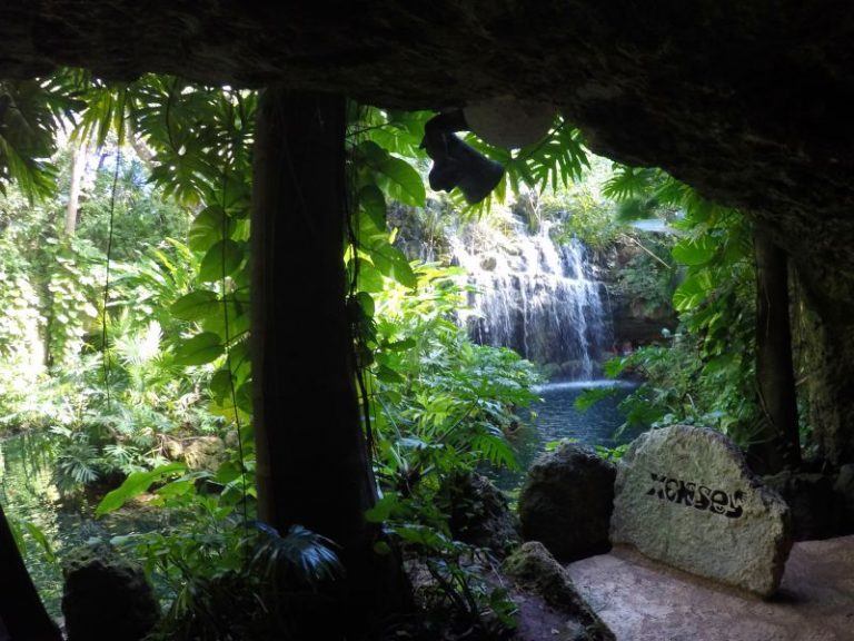 Expanding Our Senses – An Xenses Park Review