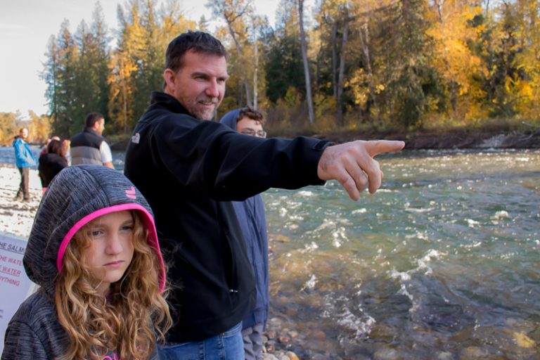How to See the Adams River Salmon Run in British Columbia – Updated ...