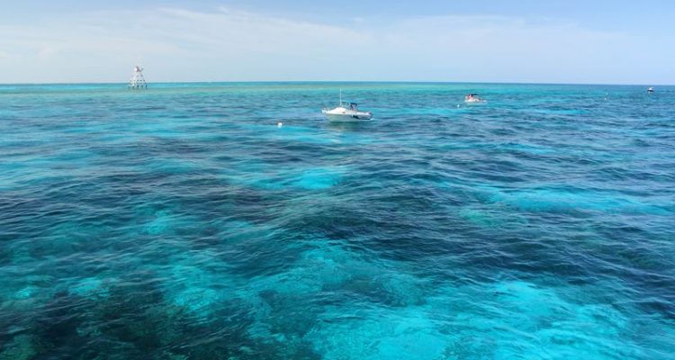 Molasses-Reef-Key-Largo-John-Pennekamp-Coral-Reef-State-Park-DP | The ...
