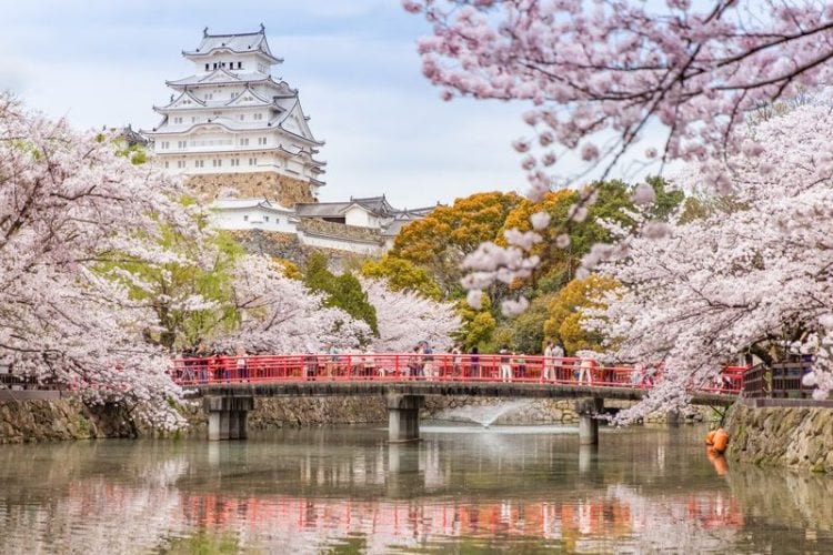 The Best Places to See Cherry Blossoms in Japan